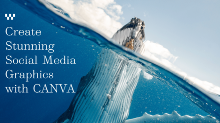 How to create stunning social media graphics using Canva!